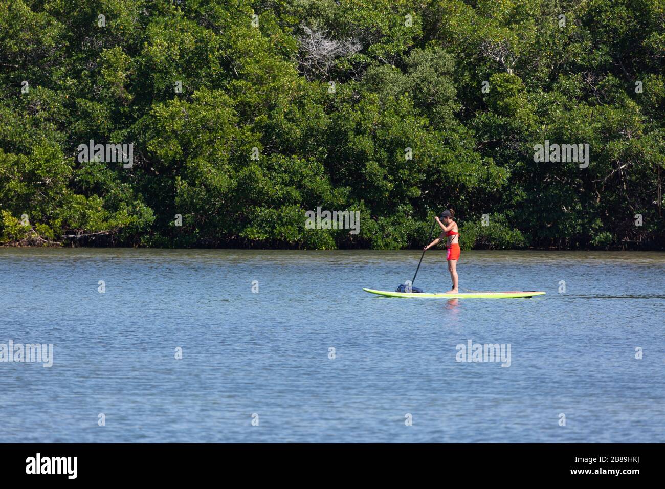 Lido key florida and kayak hi-res stock photography and images - Alamy