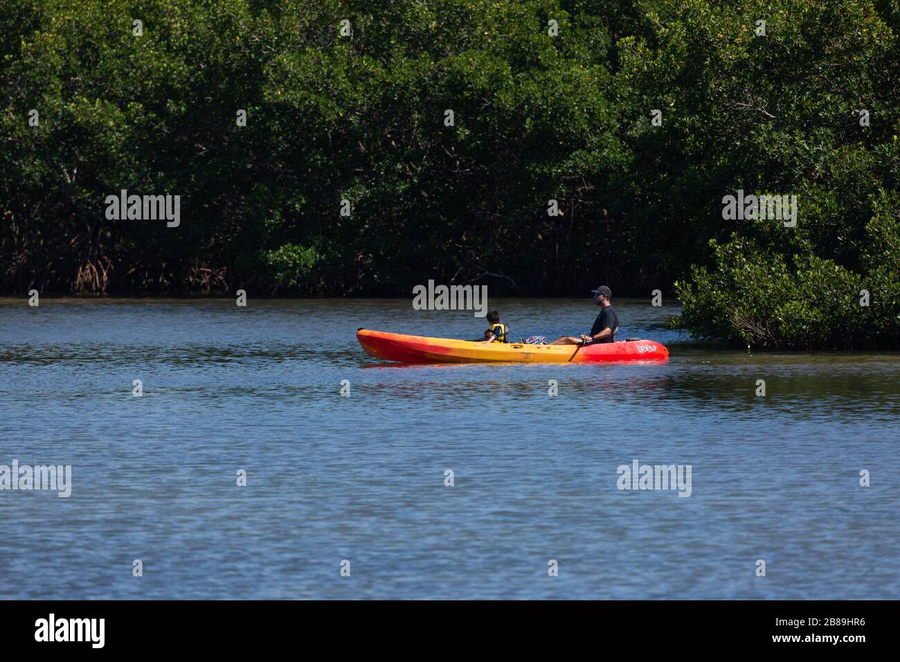 Lido key florida and kayak hi-res stock photography and images - Alamy