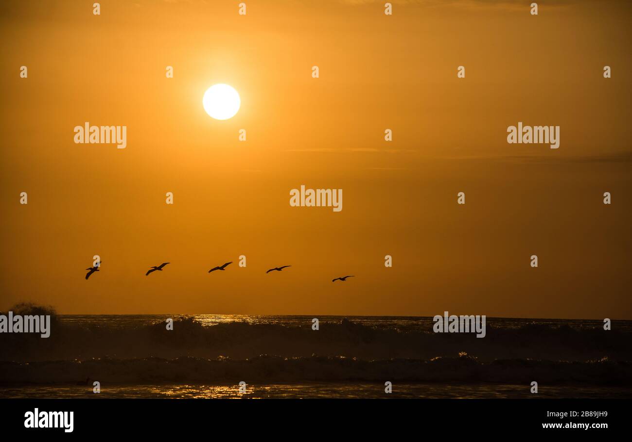 Sunset with strong orange color Stock Photo - Alamy