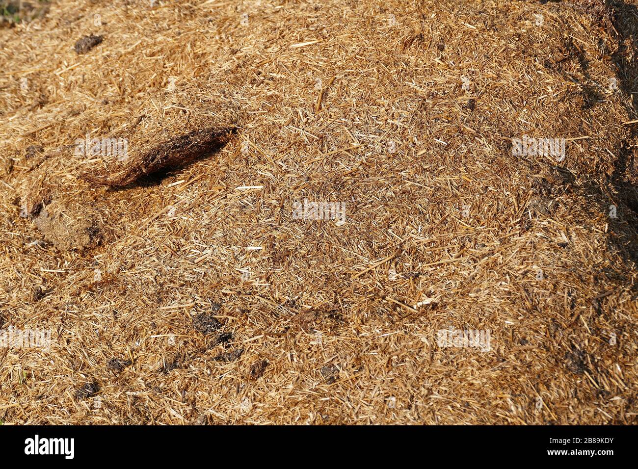 people pollute the environment they live in, rotten straw residues ...