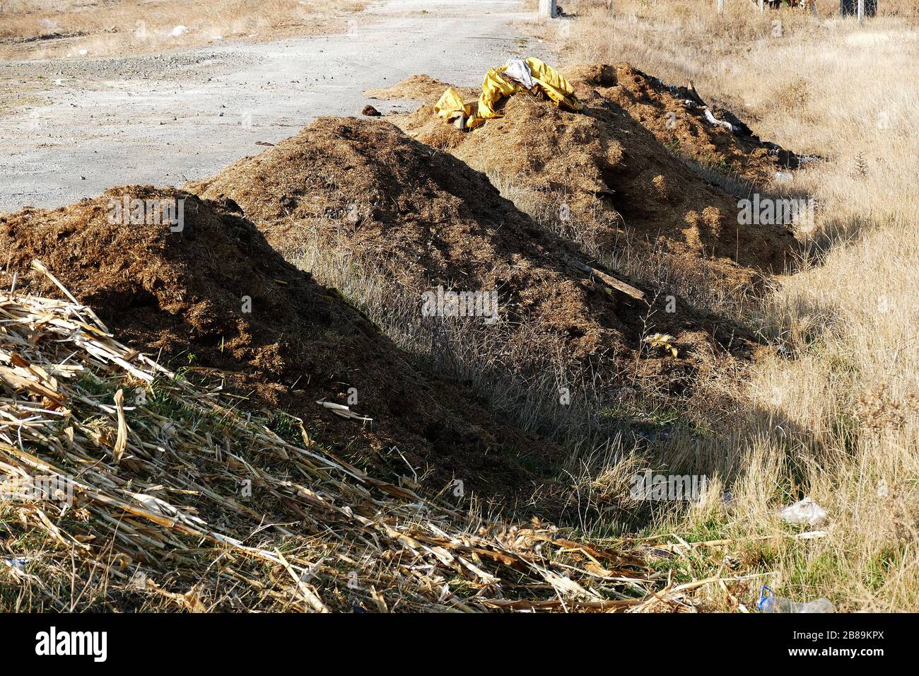 rotten straw and wastes, environmental pollution,people pollute the ...