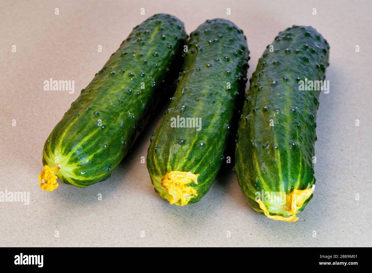 Cucumbers close up hi-res stock photography and images - Alamy