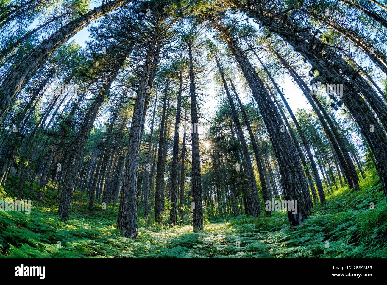 Wide angled hi-res stock photography and images - Alamy