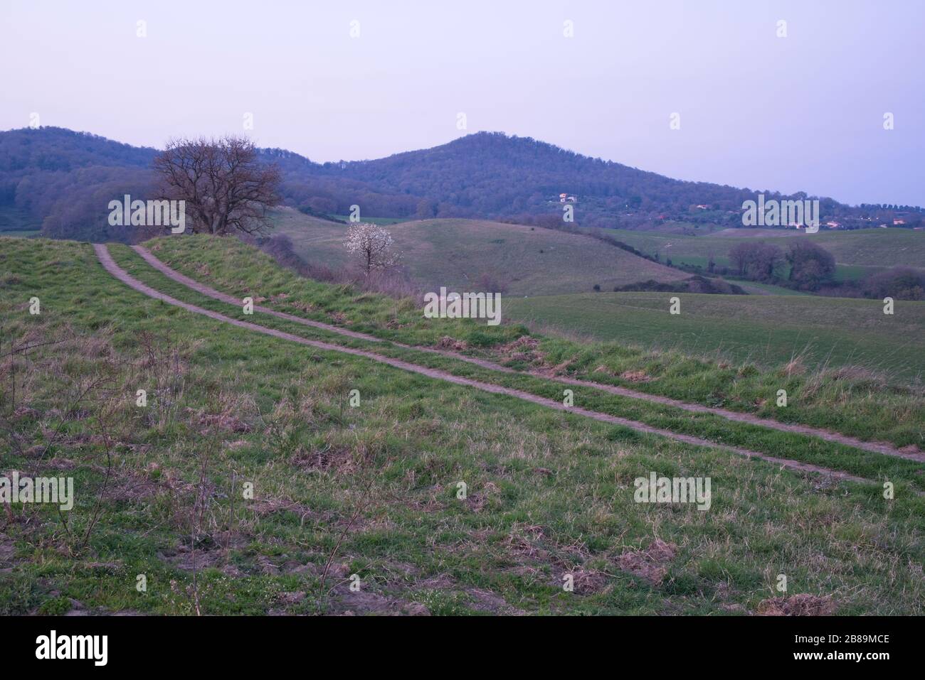 Parco di Veio, regional park in the province of Rome, at sunset Stock ...