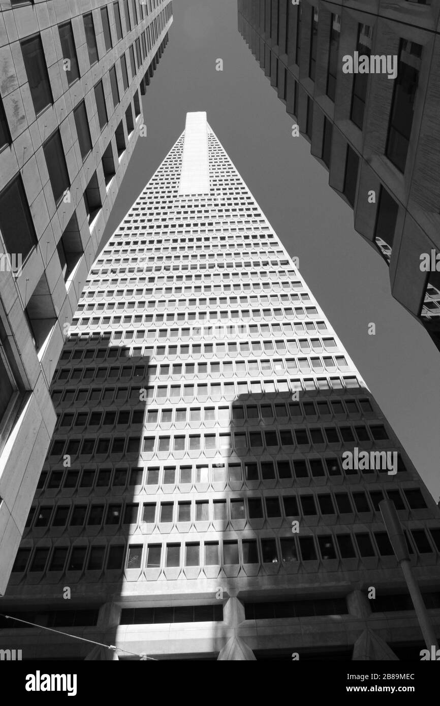 transamerica building black and white art Stock Photo - Alamy