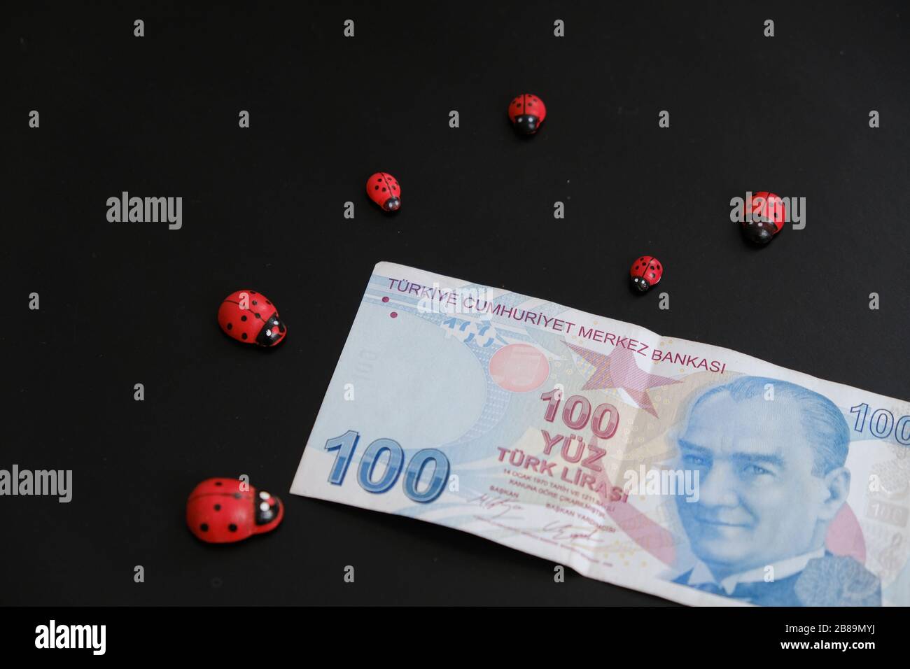 ladybug and paper banknote, luck and ladybug Stock Photo - Alamy