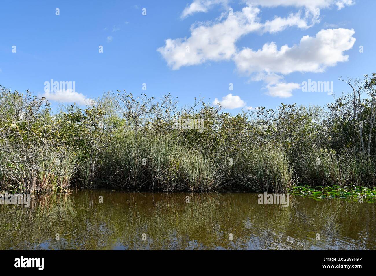 Everglades, Florida, Usa Stock Photo - Alamy
