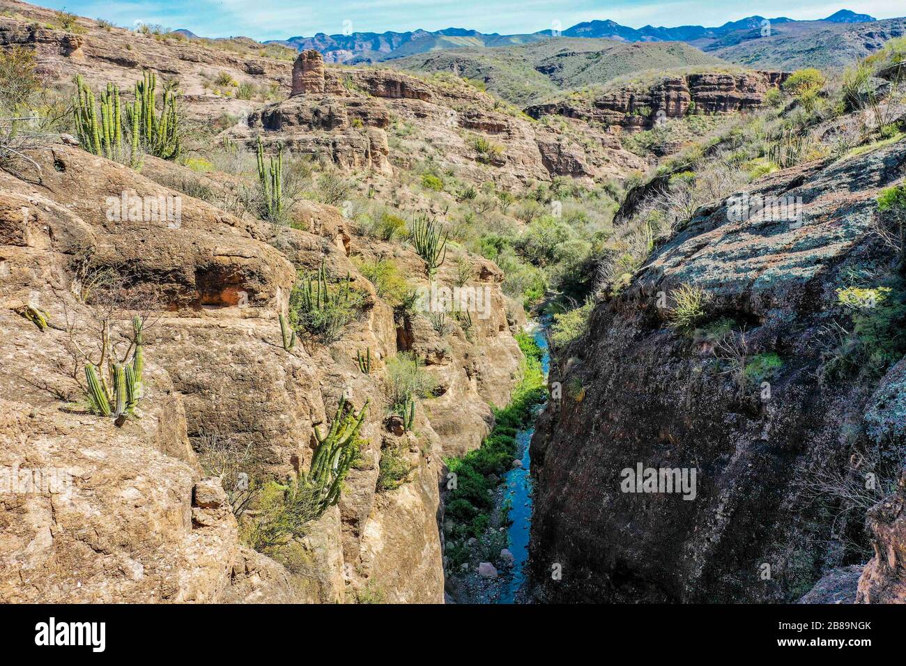 Aerial view of the Rio Sonora, landscape of mountains, canyons and ...