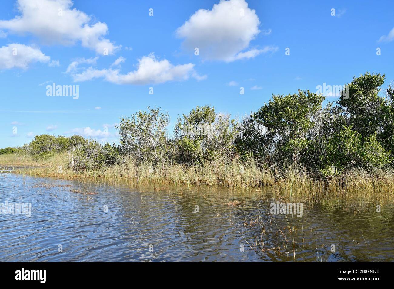 Everglades, Miami, Fl, Usa Stock Photo - Alamy