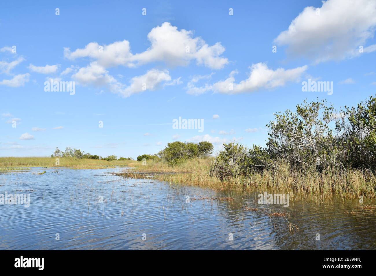 Everglades, Miami, Fl, Usa Stock Photo - Alamy