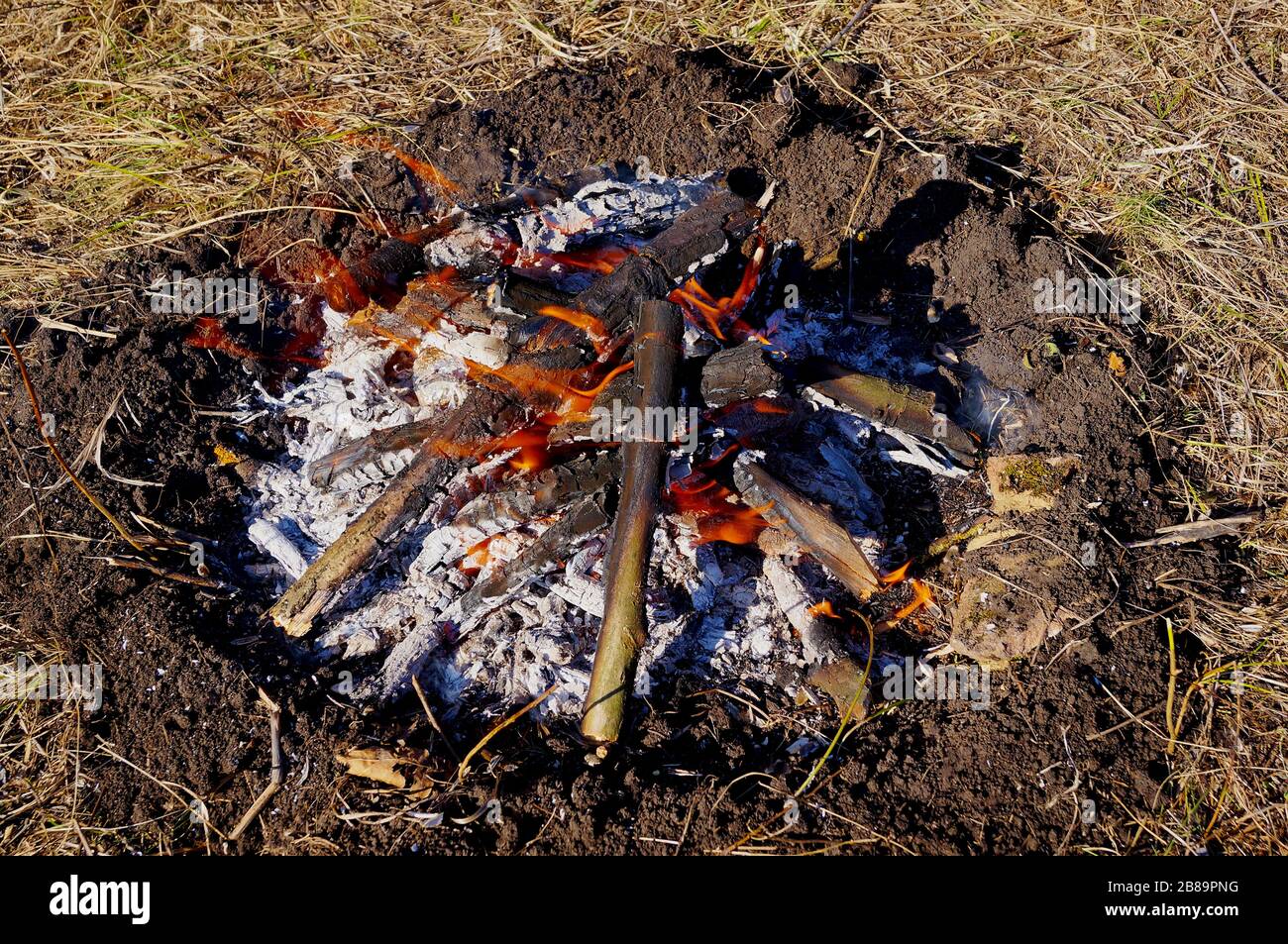 Outdoor fire near the forest Stock Photo - Alamy