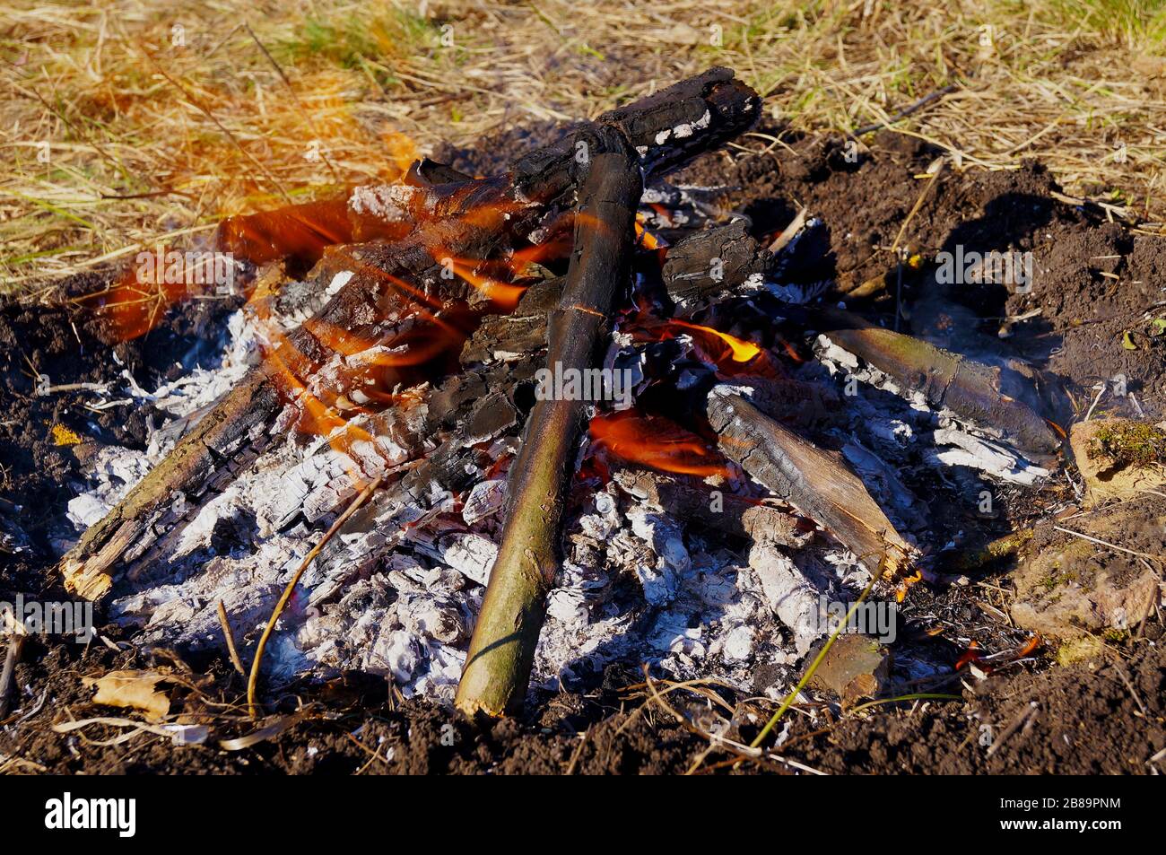 Outdoor fire near the forest Stock Photo - Alamy