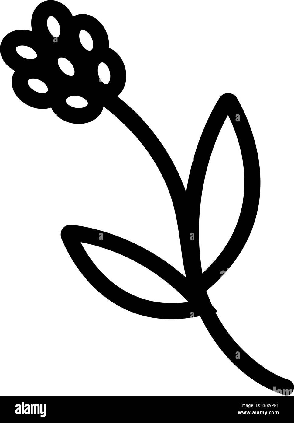 Rare wildflower Black and White Stock Photos & Images - Alamy