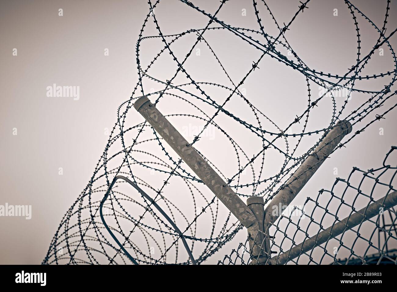 Border fence with barbed wire. Closing for quarantine. Maximum Security ...