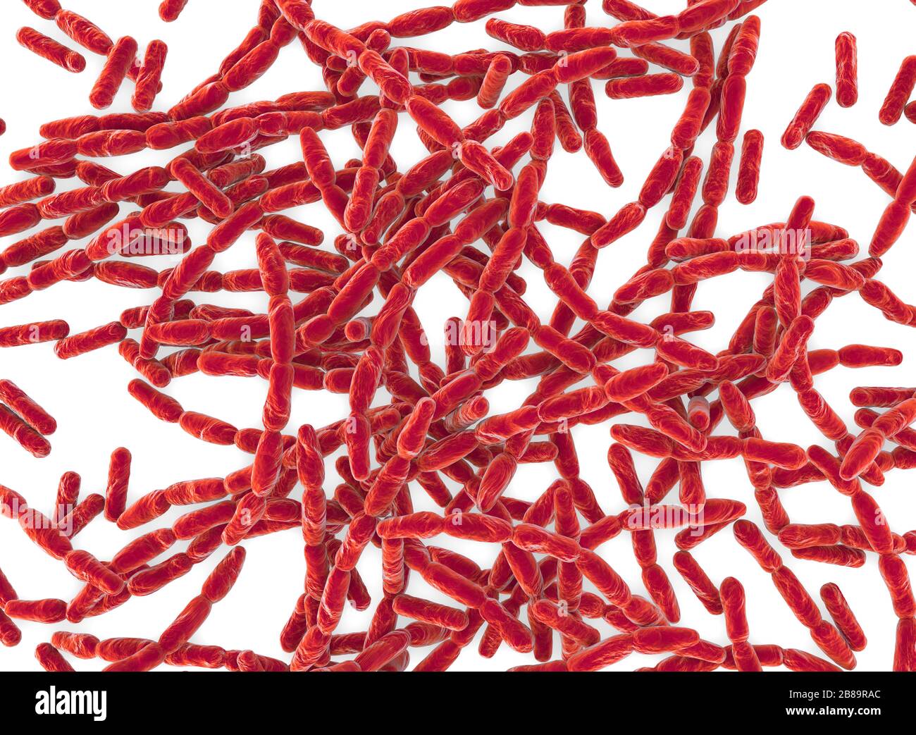 Anthrax bacterium spore hi-res stock photography and images - Alamy