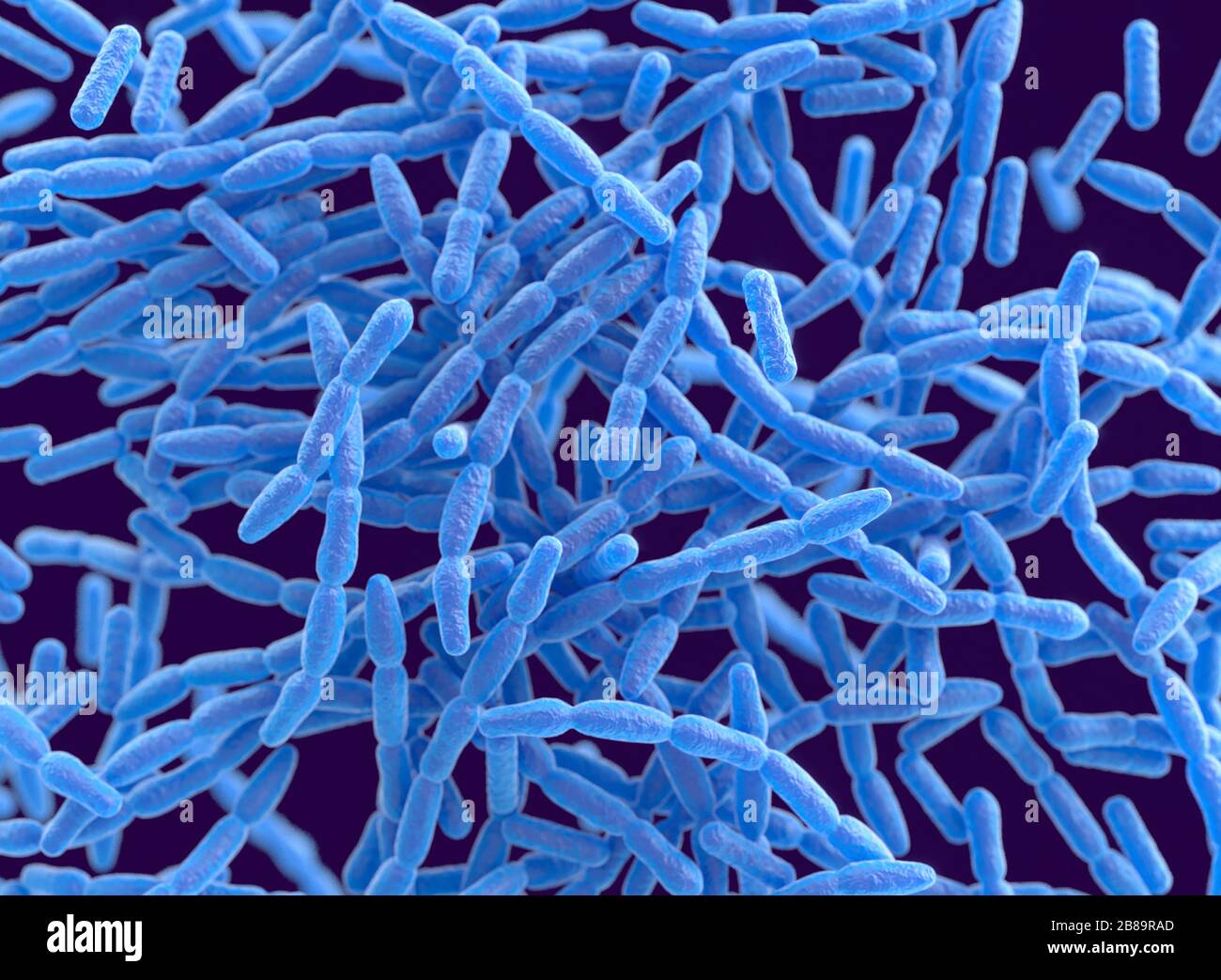 Anthrax bacteria, illustration Stock Photo - Alamy