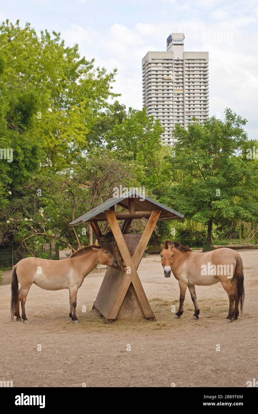 Zoo animal enclosures hi-res stock photography and images - Alamy