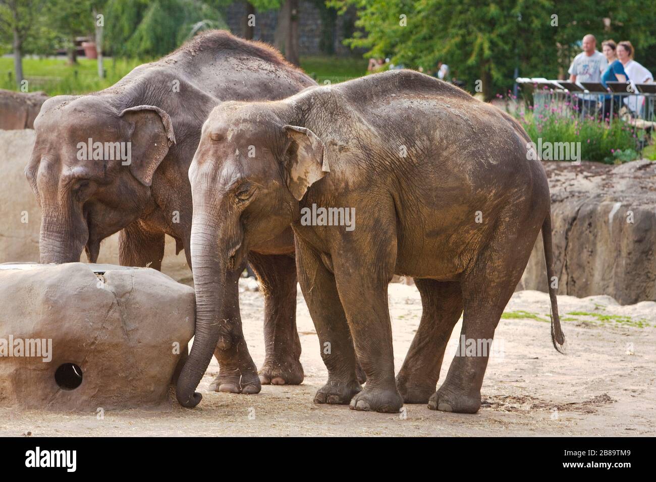 Zoo animal enclosures hi-res stock photography and images - Alamy