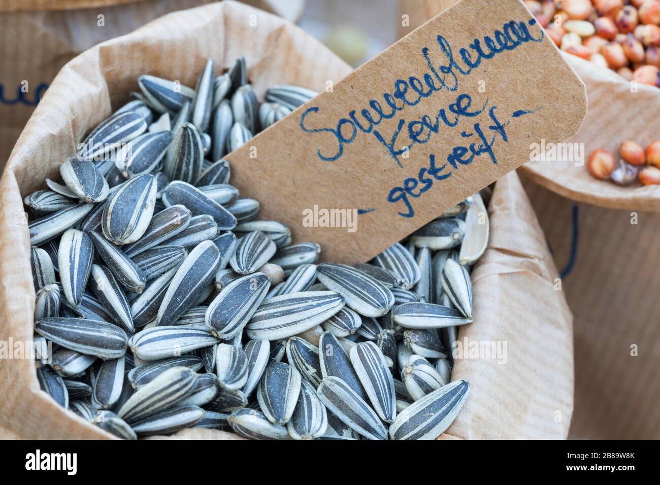 Large Striped Sunflower Seeds