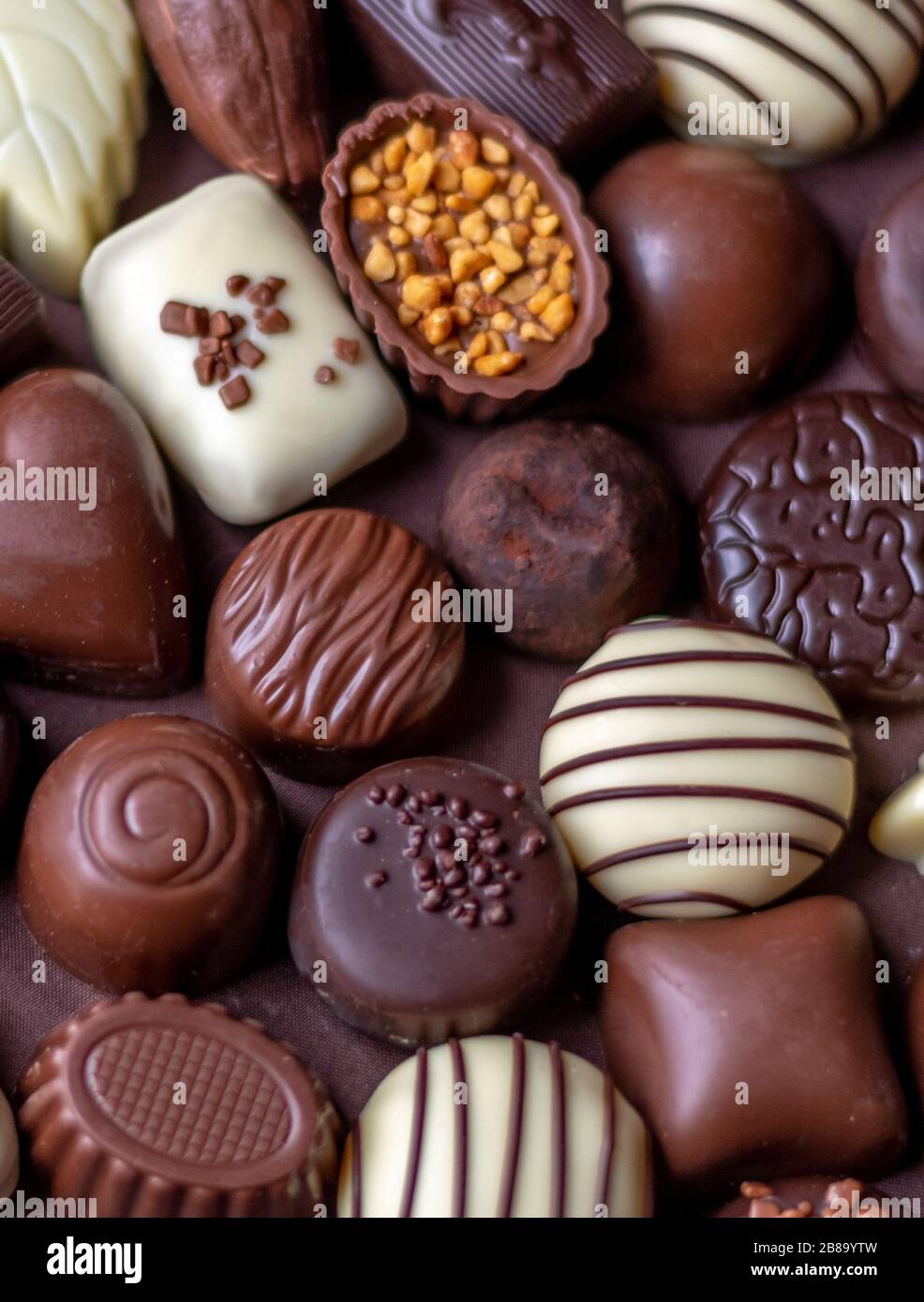 Fancy Chocolate Brands