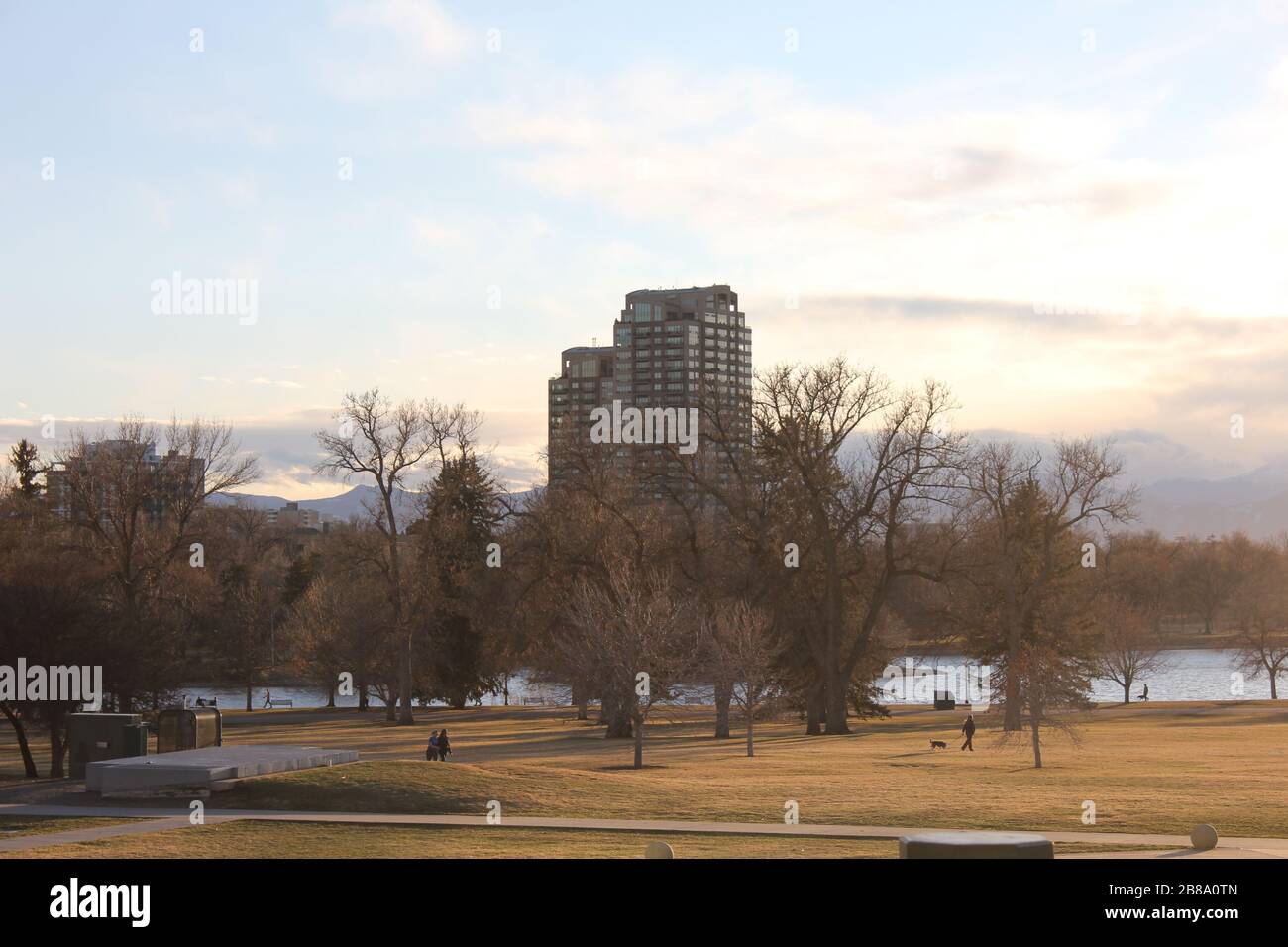 Denver trees hi-res stock photography and images - Alamy