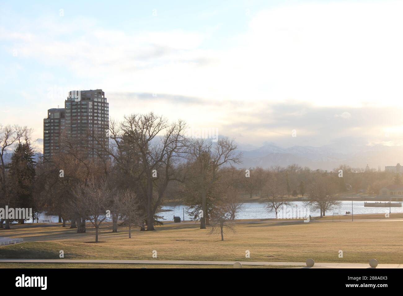 Denver trees hi-res stock photography and images - Alamy