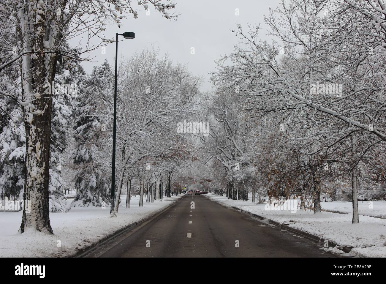 Monaco usa hi-res stock photography and images - Alamy
