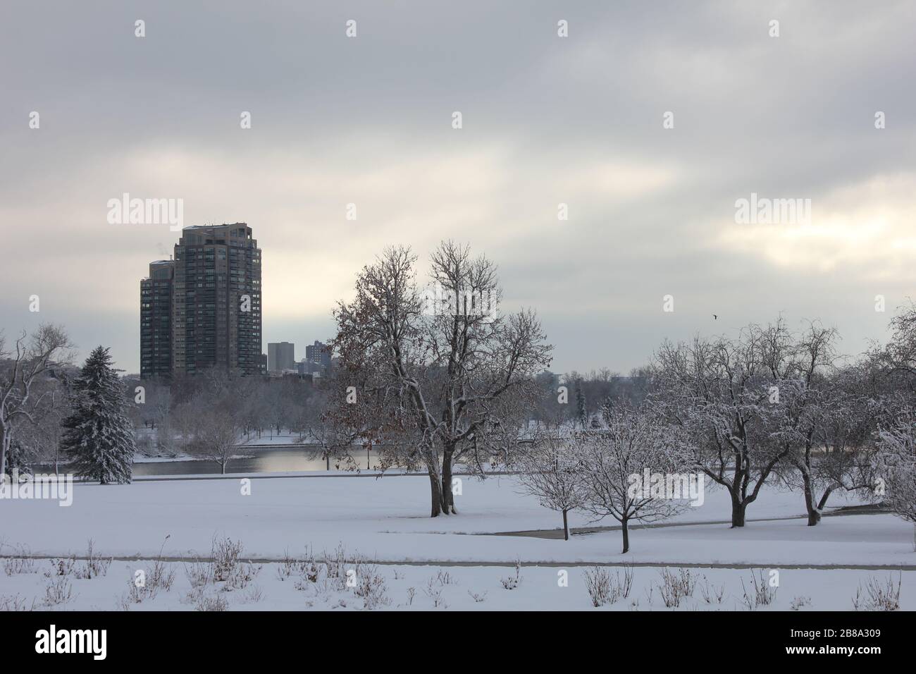 Winter City Park Denver Co