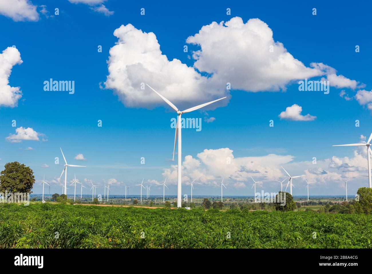 Wind energy turbines in the midst of nature, gorge and trees sky ...