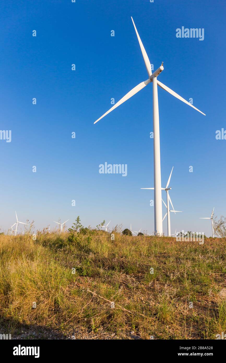 Wind energy turbines in the midst of nature, gorge and trees sky ...
