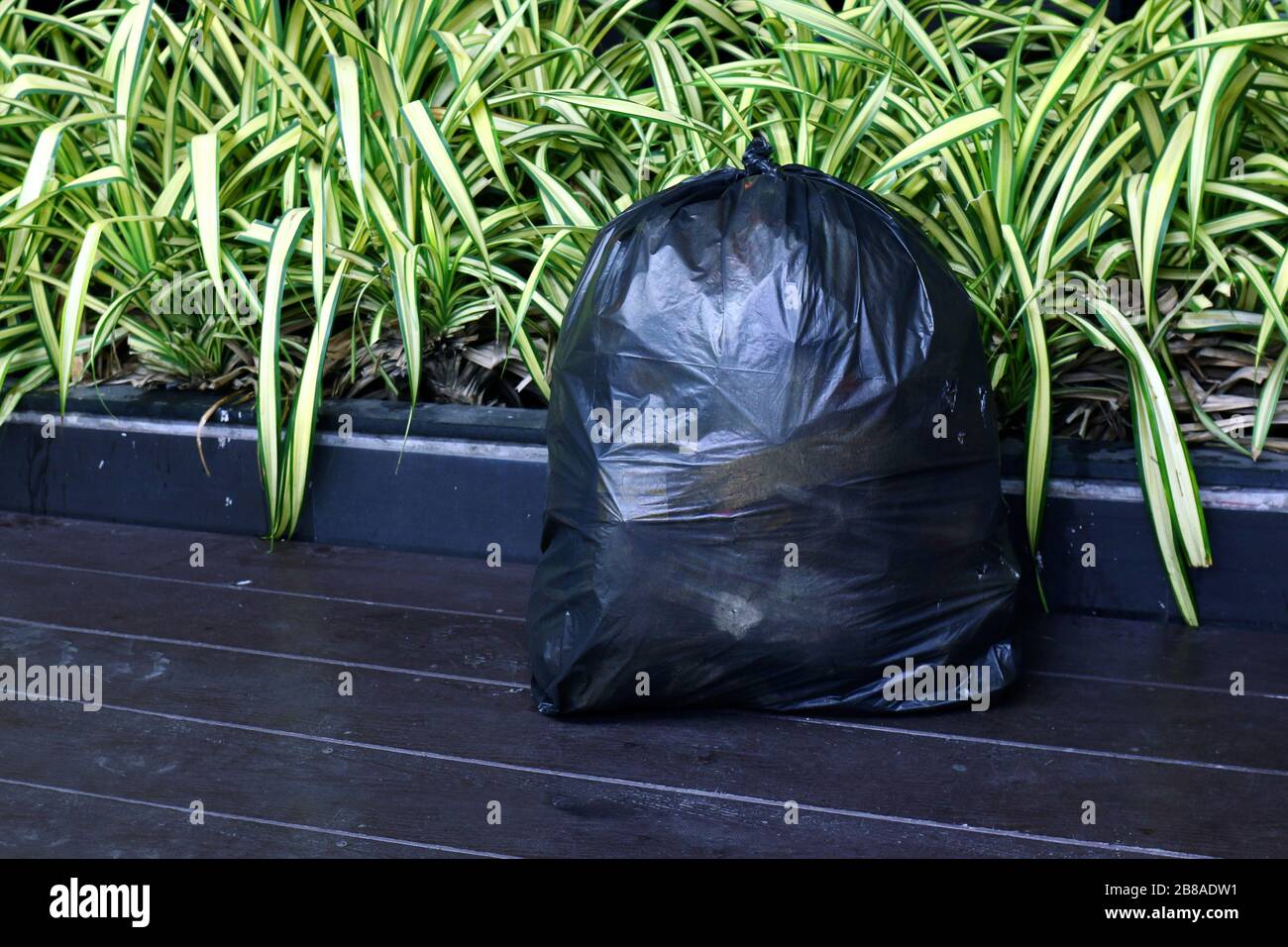 plastic waste bag, black plastic garbage bag placed on wooden floor ...