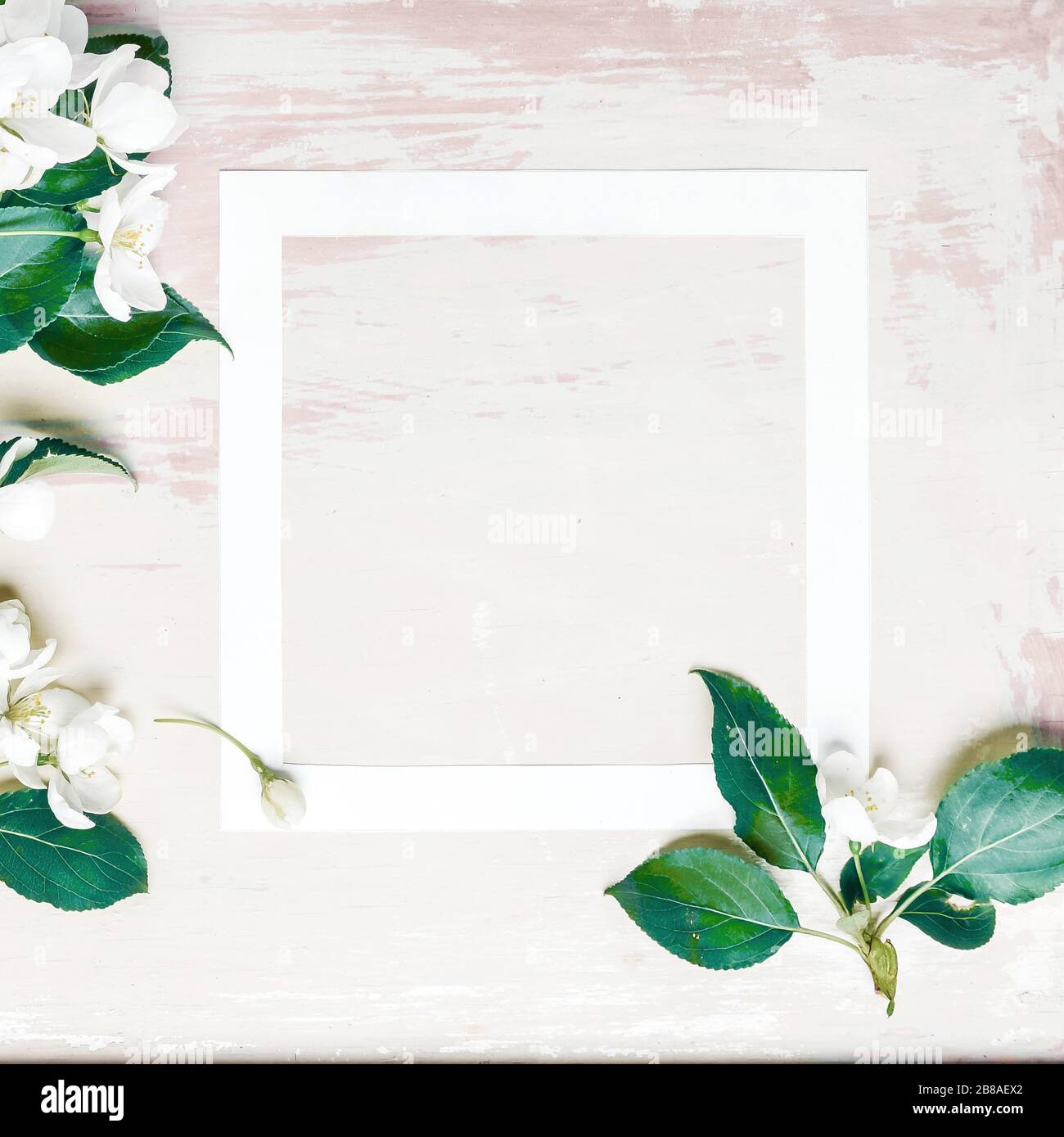 Minimal backdrop hi-res stock photography and images - Alamy