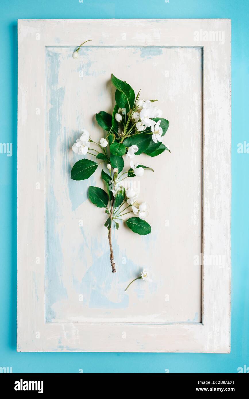 Spring concept backdrop. Apple tree branch on a wooden background in ...