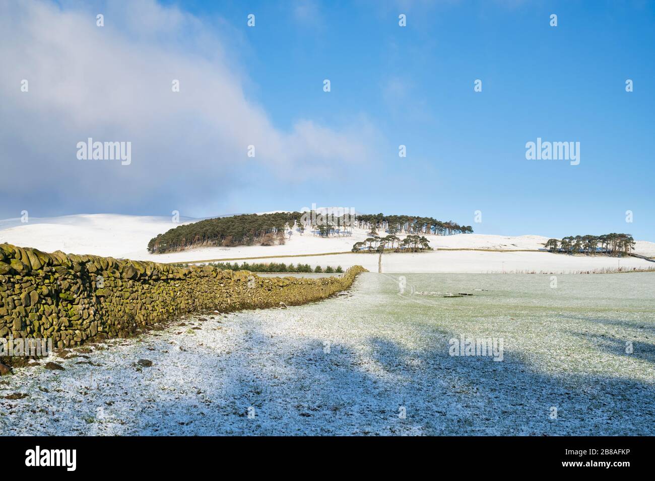 Dry stone wall in the snow covered scottish countryside. Scottish ...