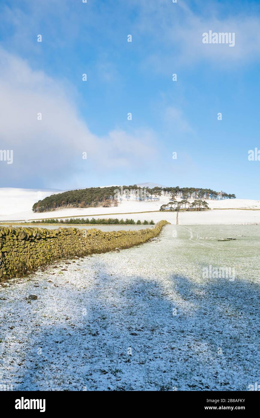 Dry stone wall in the snow covered scottish countryside. Scottish ...