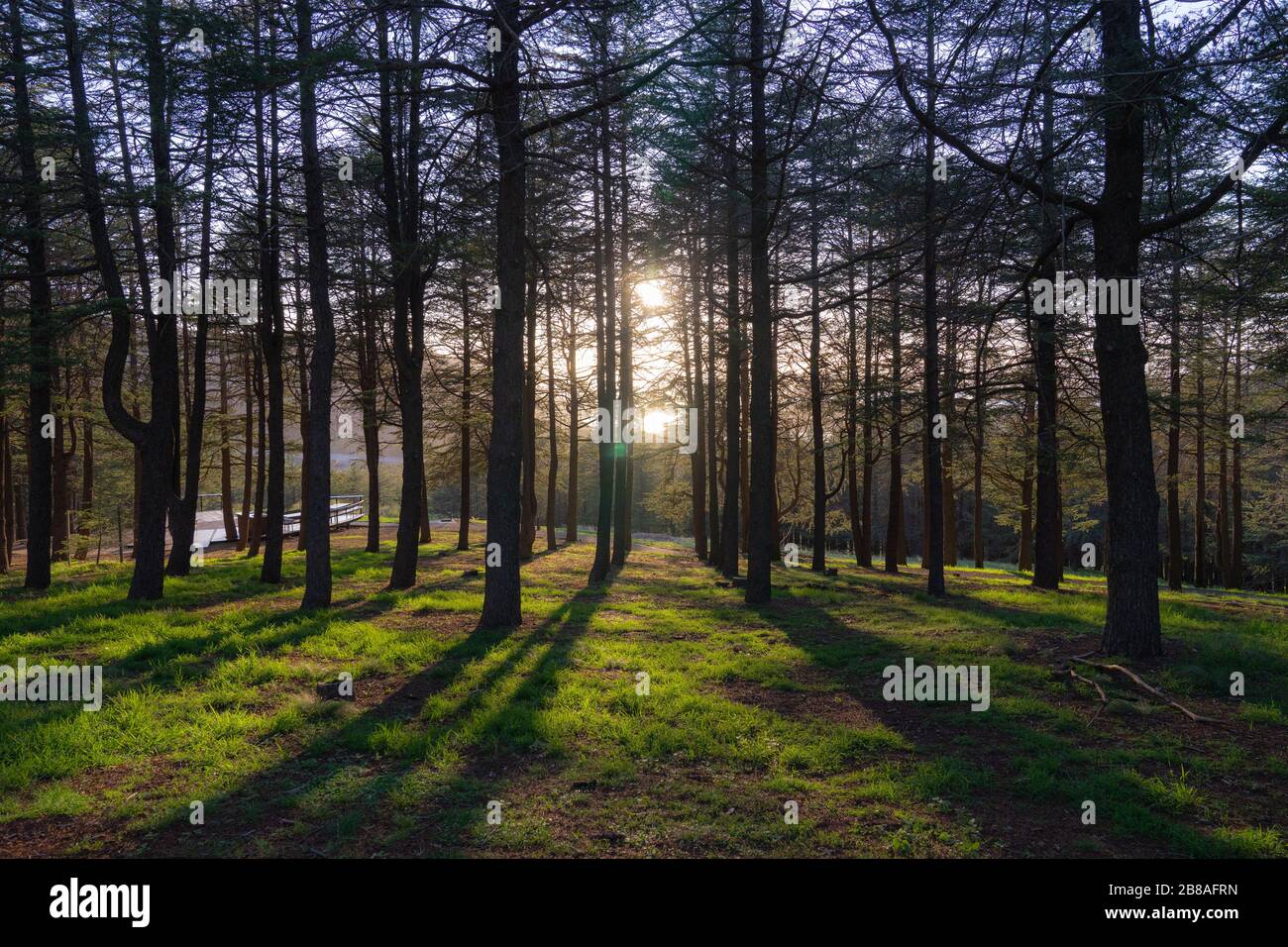 Sunlight and shadow hi-res stock photography and images - Alamy
