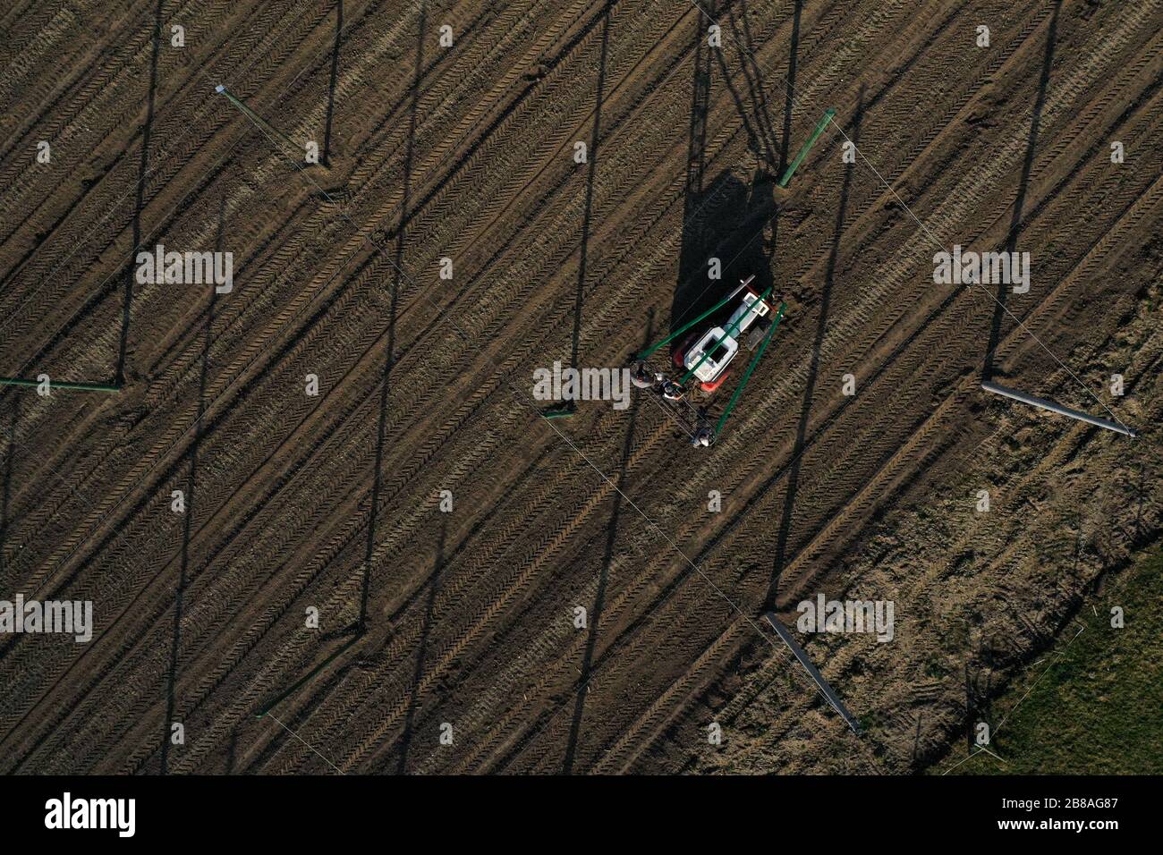 Hop poles hi-res stock photography and images - Alamy