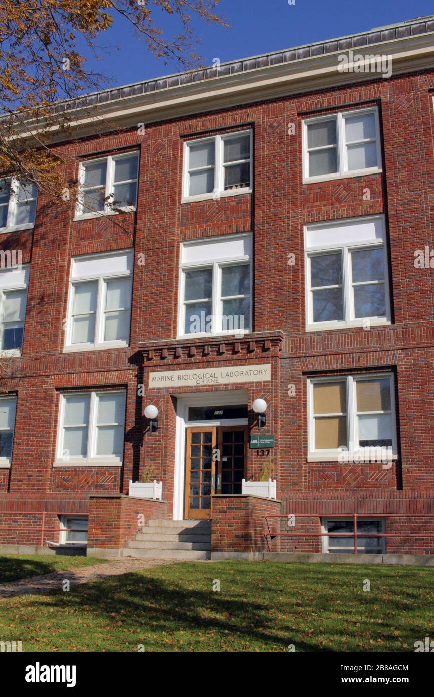 Marine Biological Laboratory High Resolution Stock Photography and ...