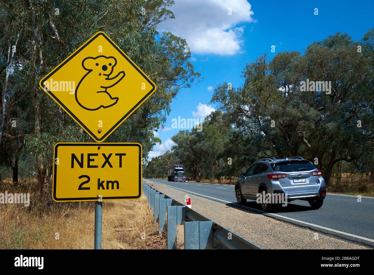 The cute, roadside standard yellow, diamond warning sign for a koala ...