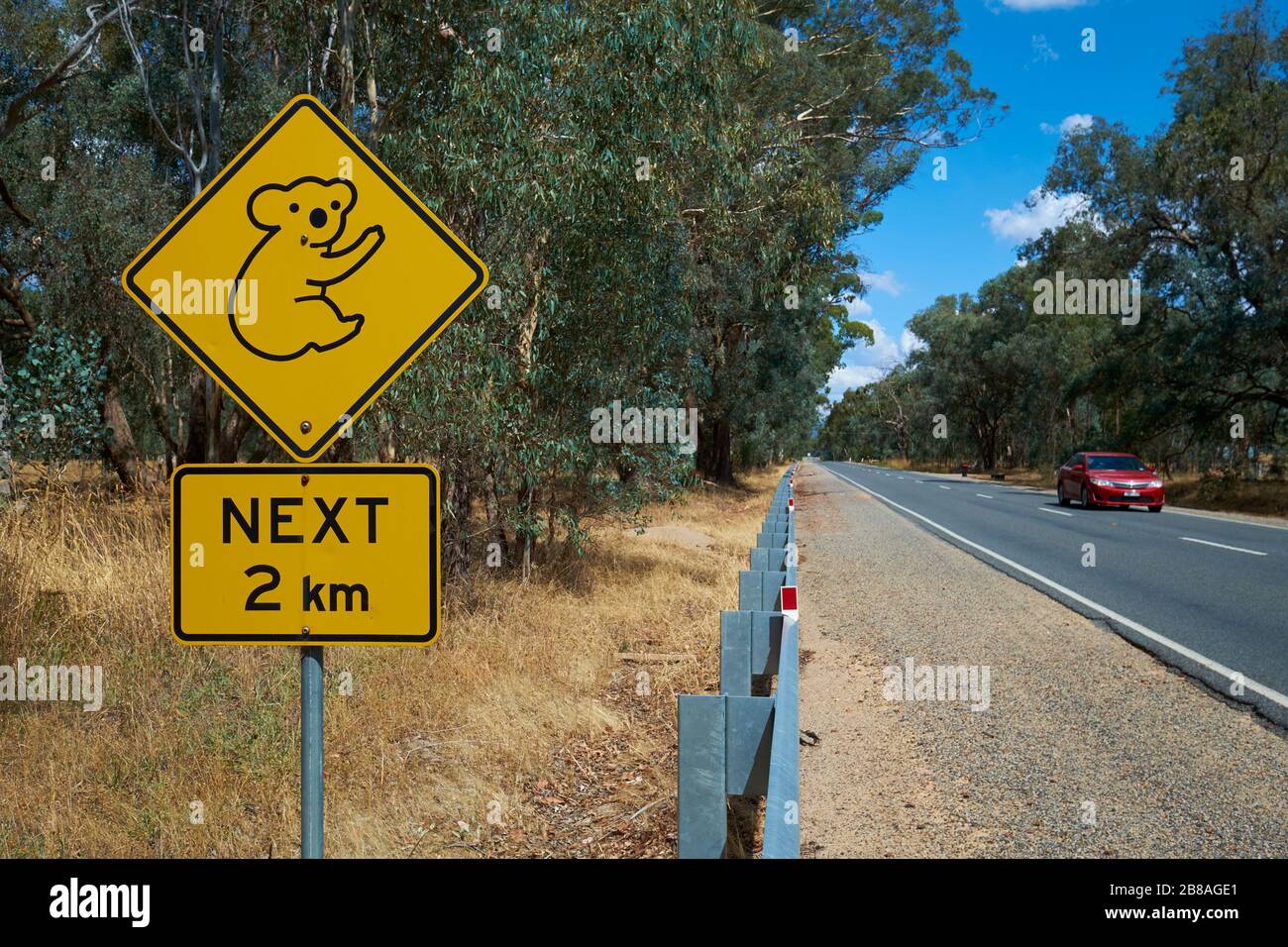 The cute, roadside standard yellow, diamond warning sign for a koala ...