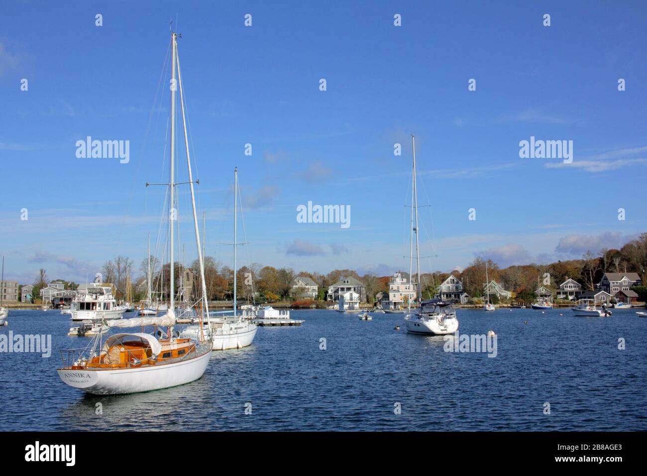 Pond eel hi-res stock photography and images - Alamy