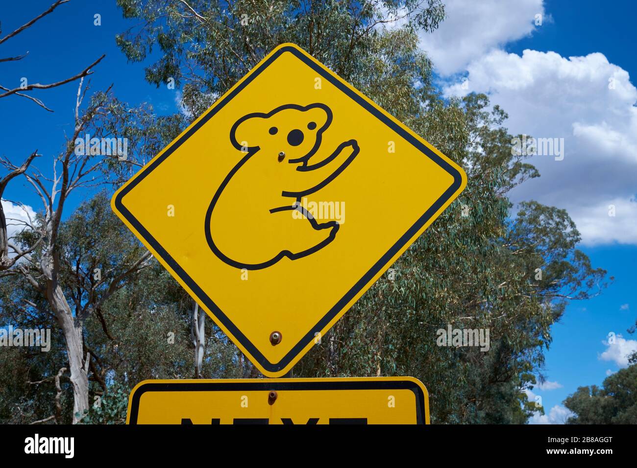 The cute, roadside standard yellow, diamond warning sign for a koala ...