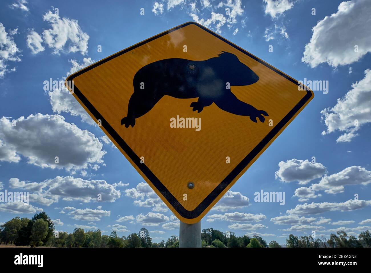 Koala road sign hi-res stock photography and images - Alamy