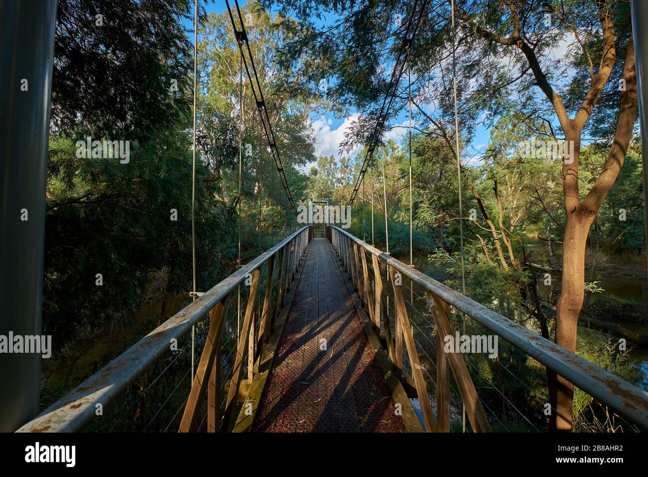 The John Cotton pedestrian suspension bridge at the Yea Wetlands Walk ...