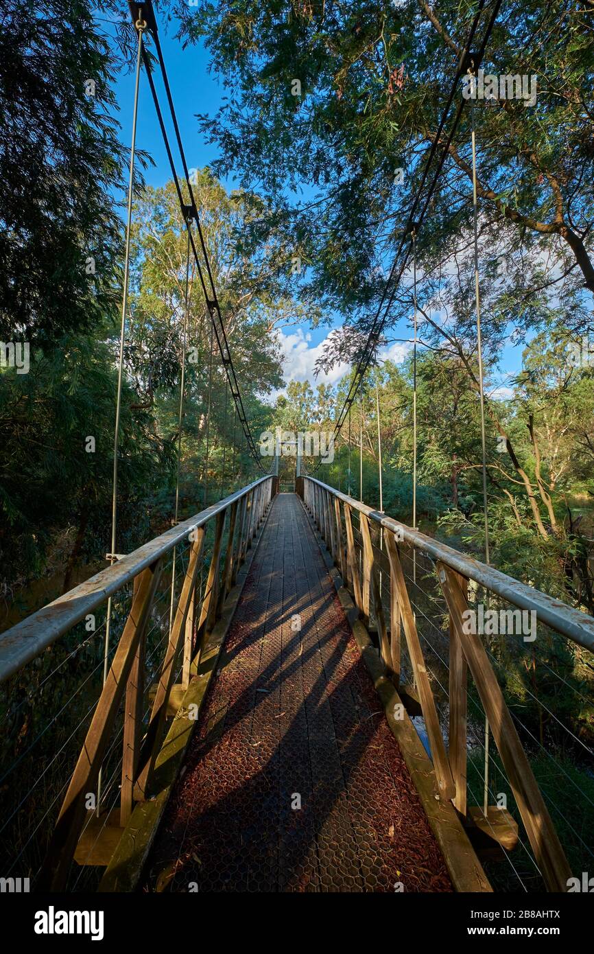 The John Cotton pedestrian suspension bridge at the Yea Wetlands Walk ...
