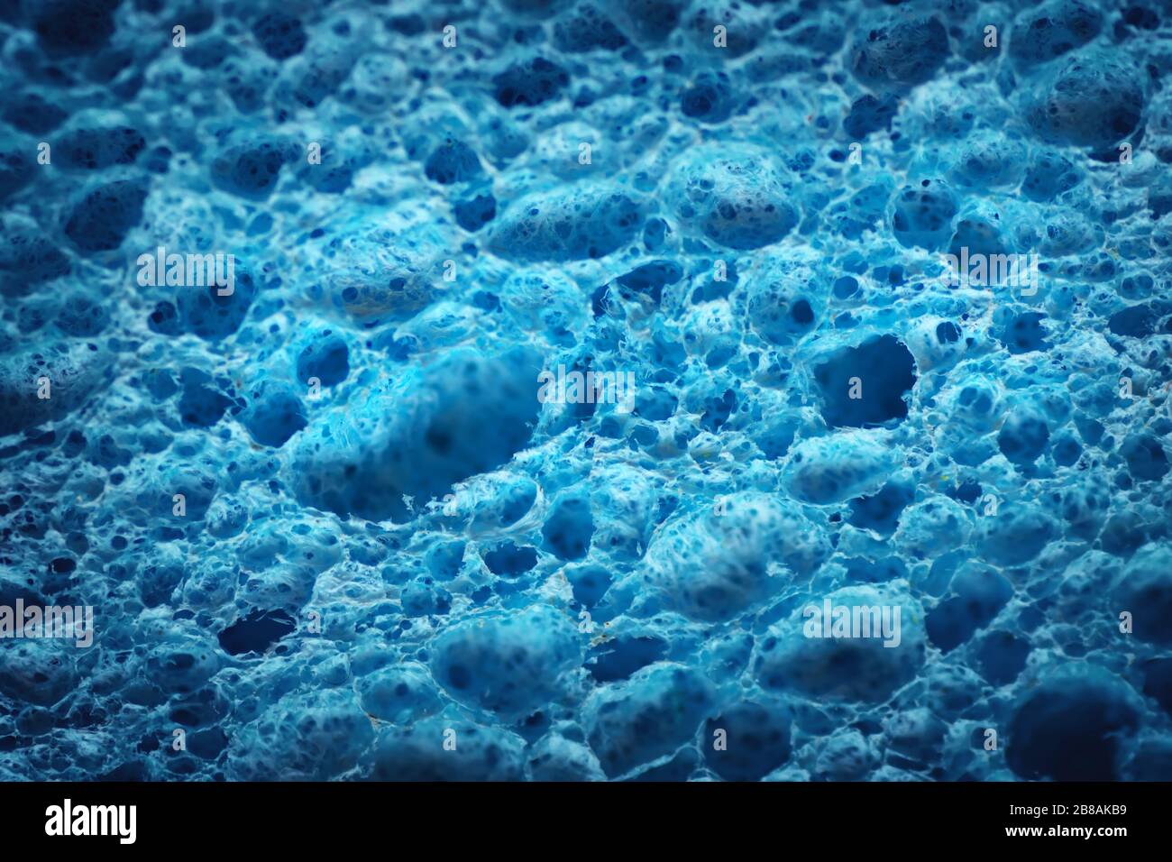 Macro of biological texture. Element of design. Cell blue background ...