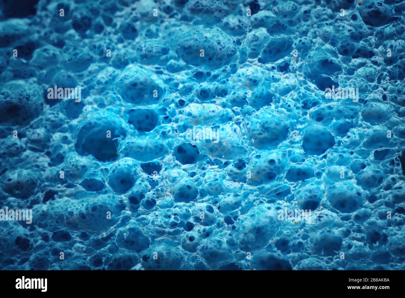 Macro of biological texture. Element of design. Cell blue background ...