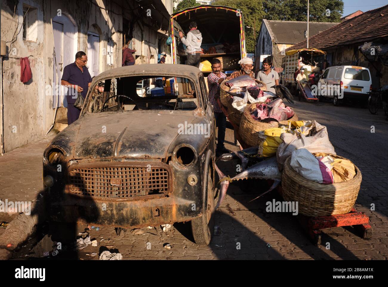 Fish On Car High Resolution Stock Photography and Images - Alamy