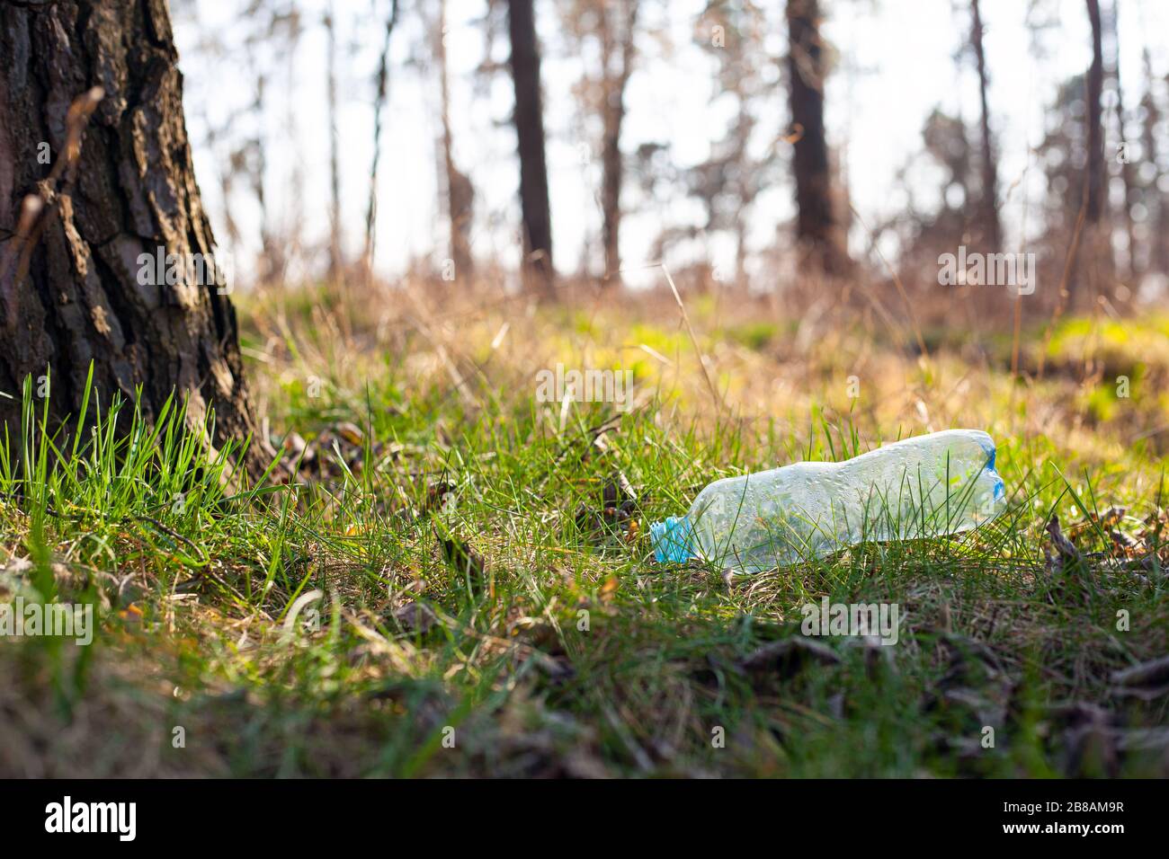 Plastic pollution tree hi-res stock photography and images - Alamy