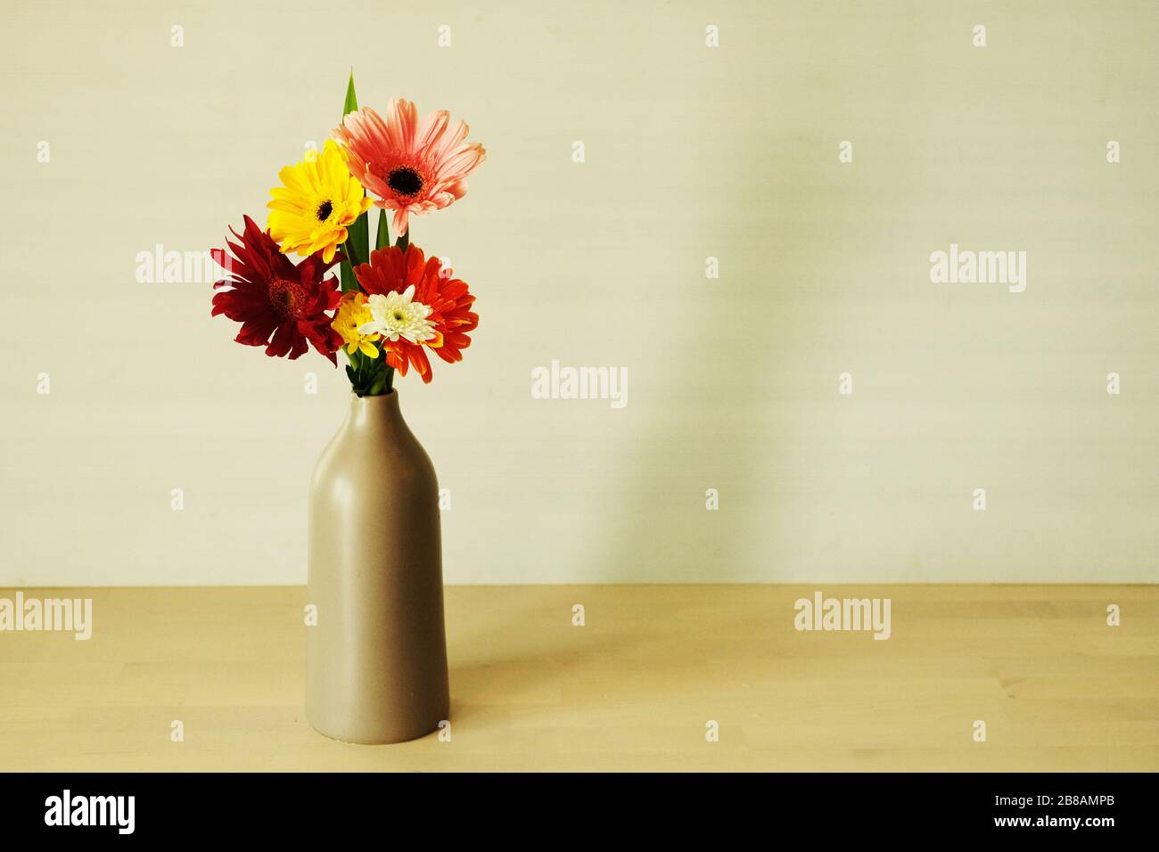 Five color Flowers in gray vase on white background Stock Photo - Alamy